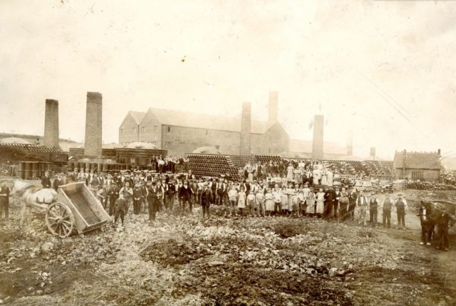 Volunteering Opportunities | Black to Green